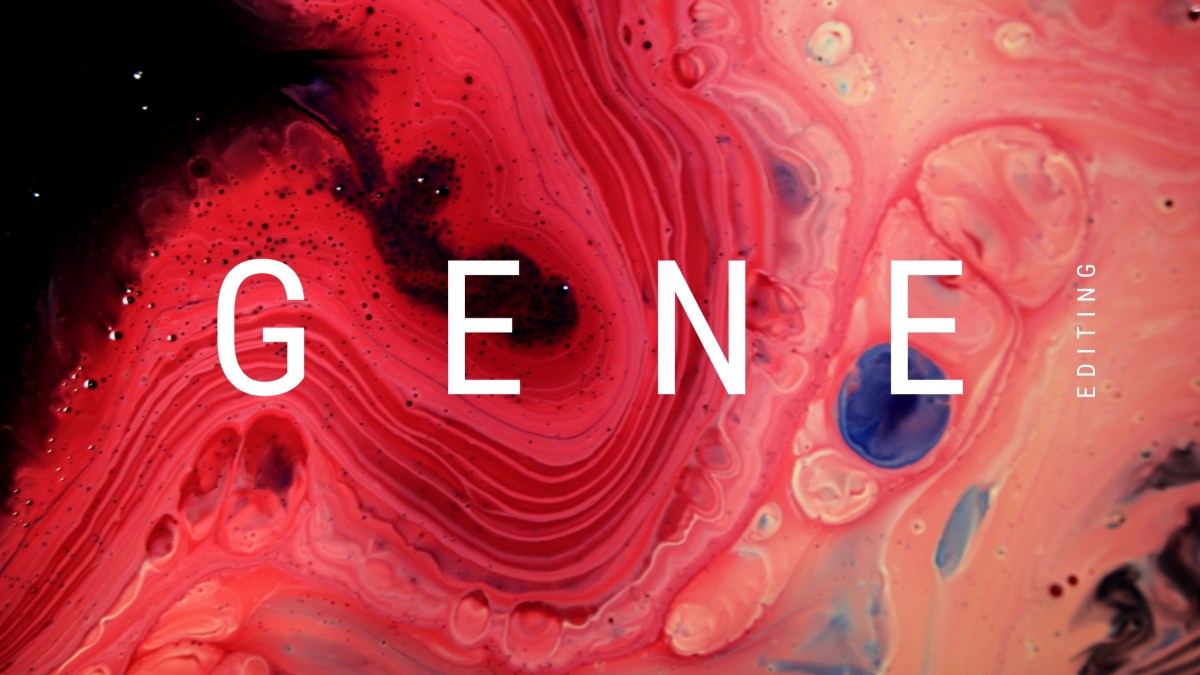 Gene Editing | Reescribiendo el código de la vida | Rue X Magazine