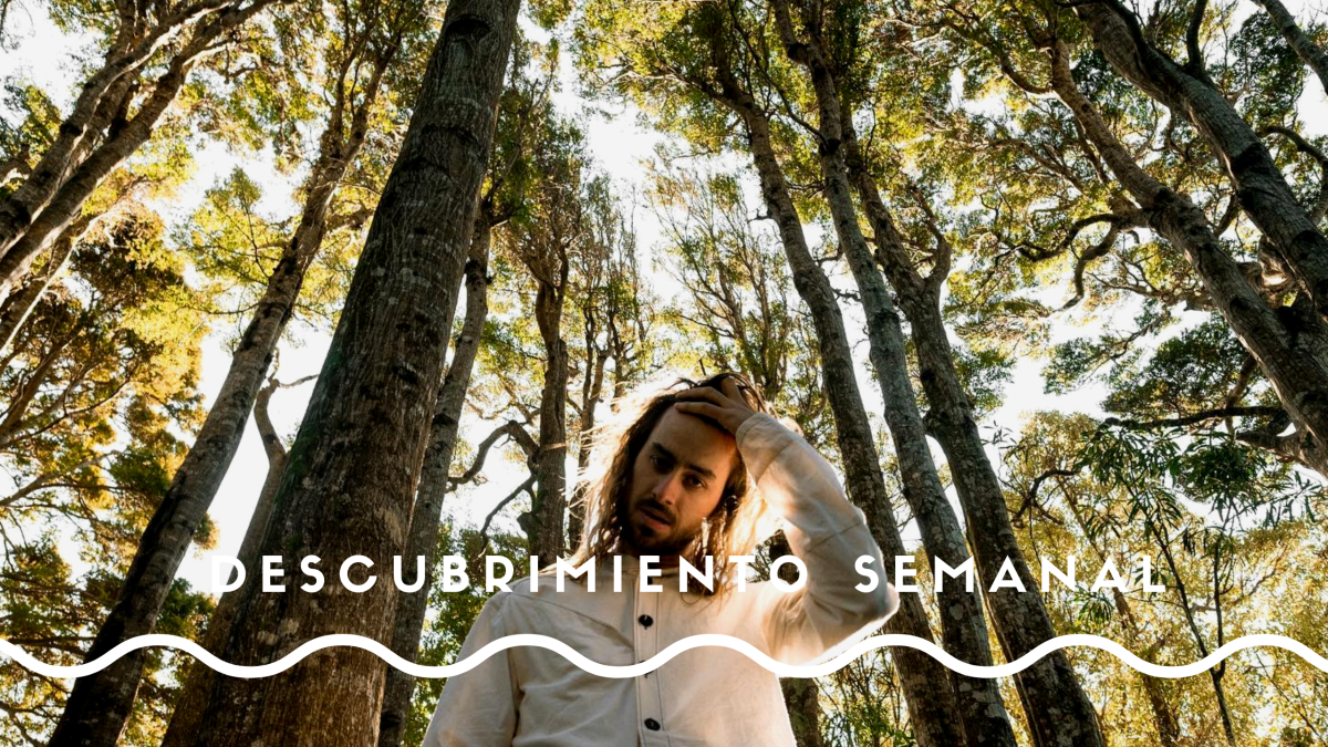 Descubrimiento Semanal | Del electrofolk de Solomon Crook al indie de ...